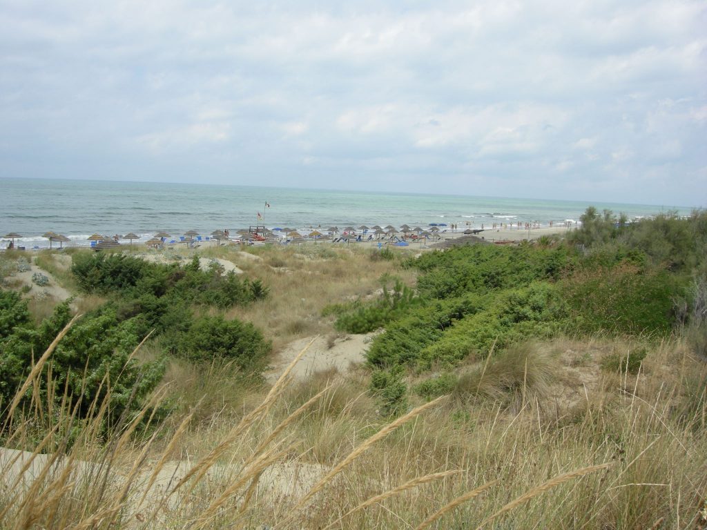 Calambrone: spiagge da scoprire e come arrivarci in Toscana ...
