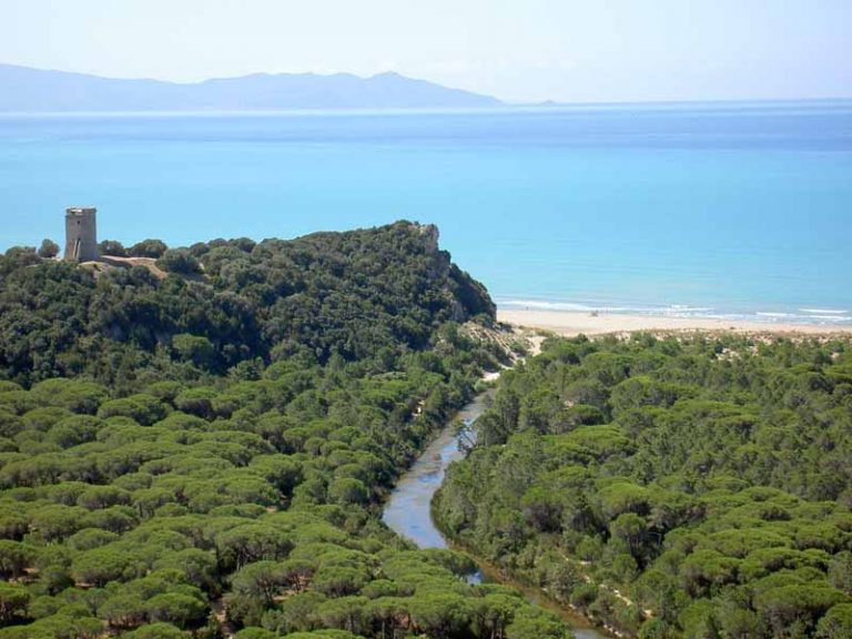 Collelungo: la spiaggia e la Torre costiera - Terredimare.it il sito ...